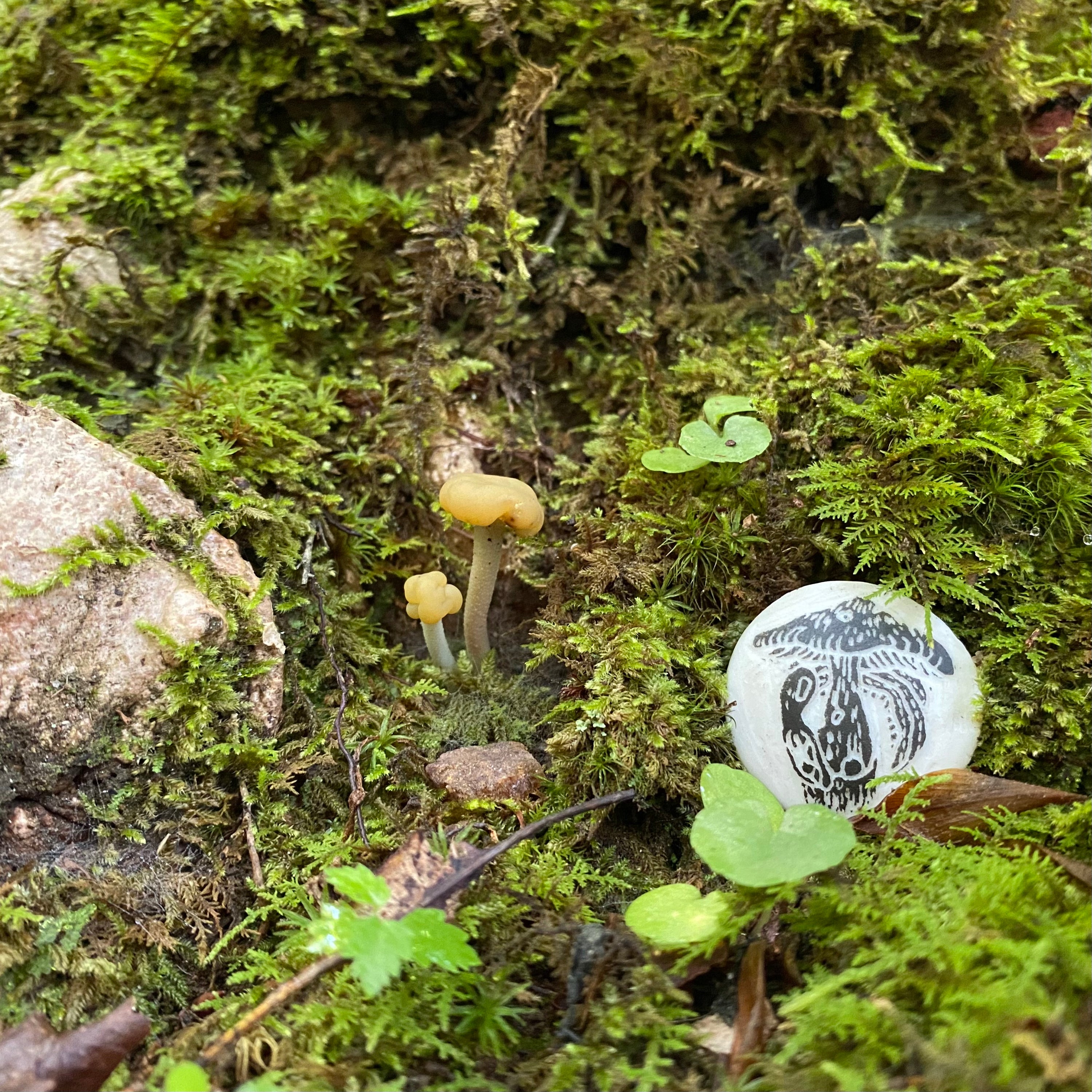 Grumpy Dwarf Pottery – grumpydwarfpottery