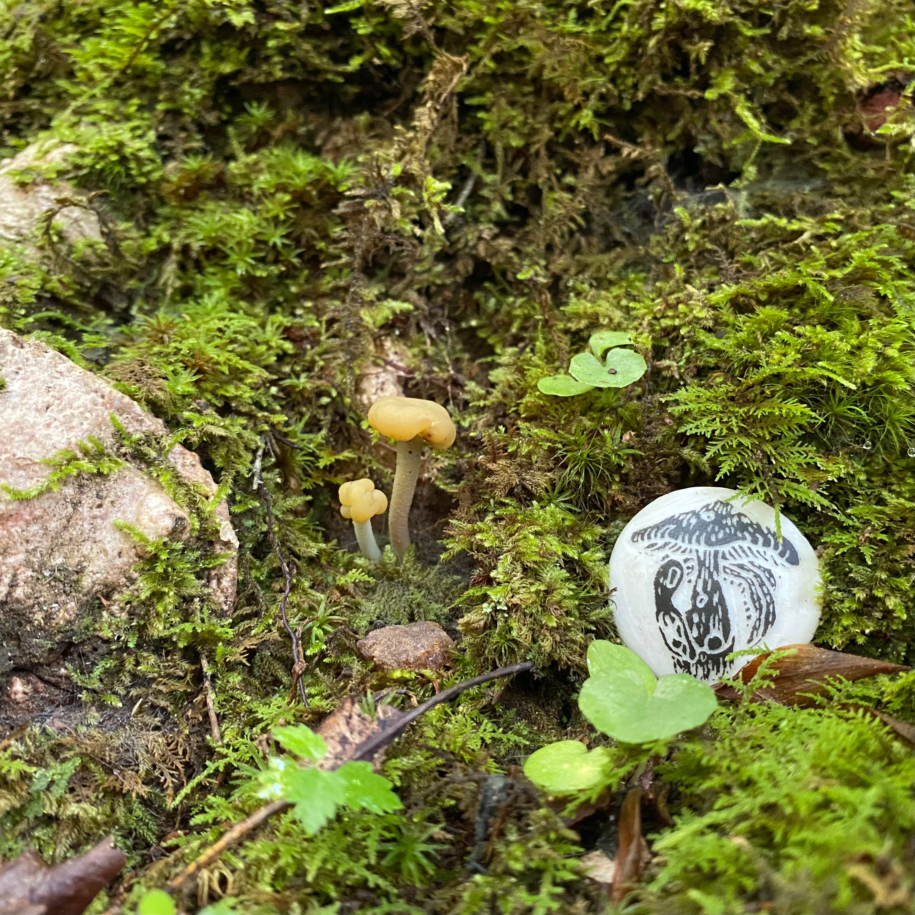 Grumpy Dwarf Pottery – grumpydwarfpottery