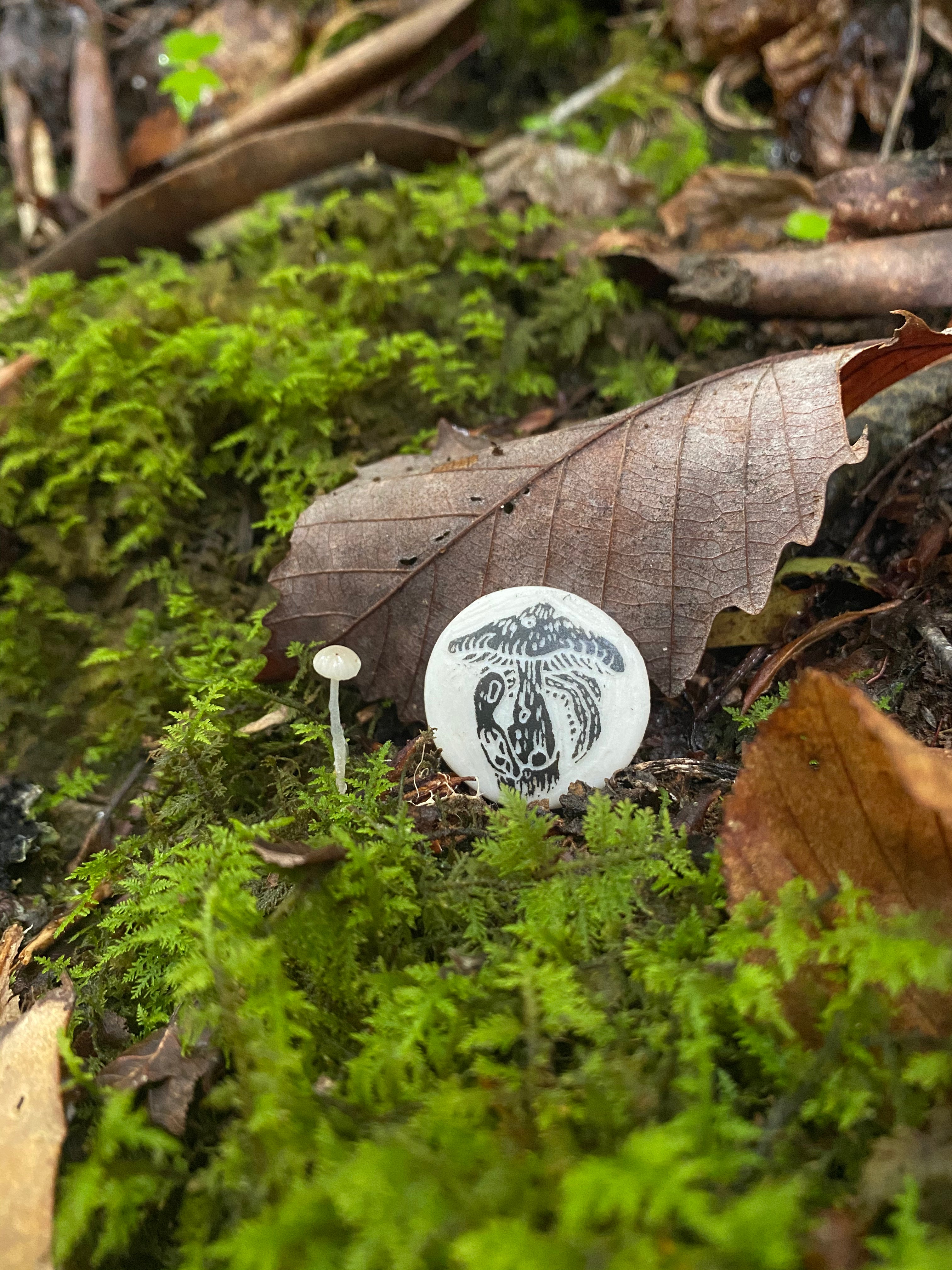 Grumpy Dwarf Pottery – grumpydwarfpottery